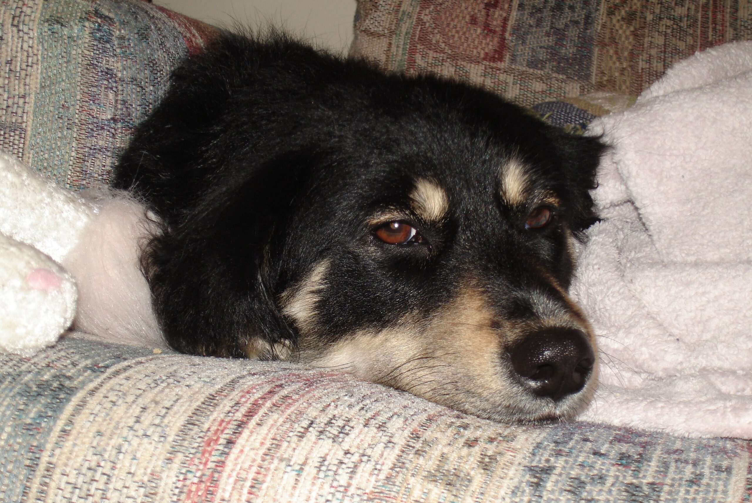 This One, Too, is for Traci ATW - All Things Writing, LLC Katherine M ...
